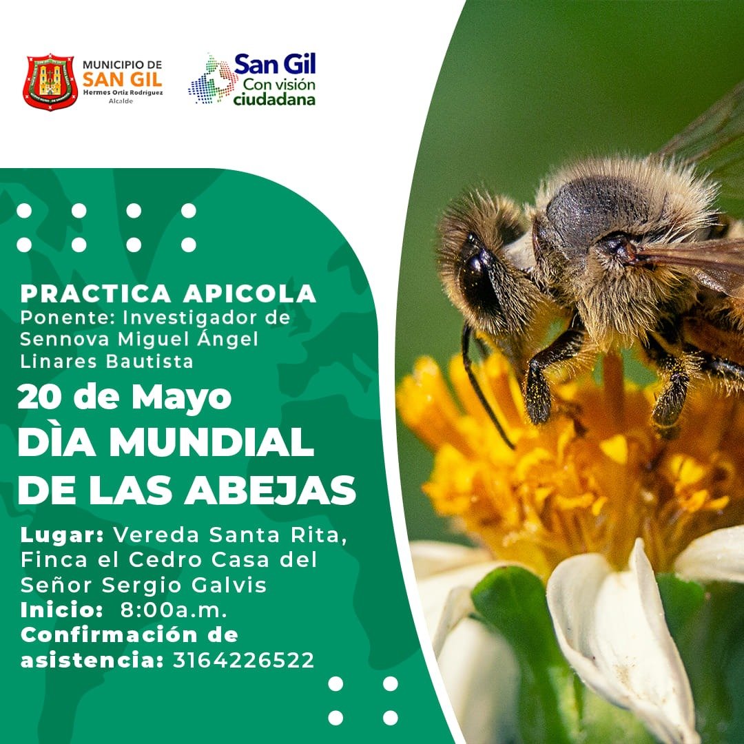 Práctica apícola en el Día Mundial de las Abejas - La cometa Radio